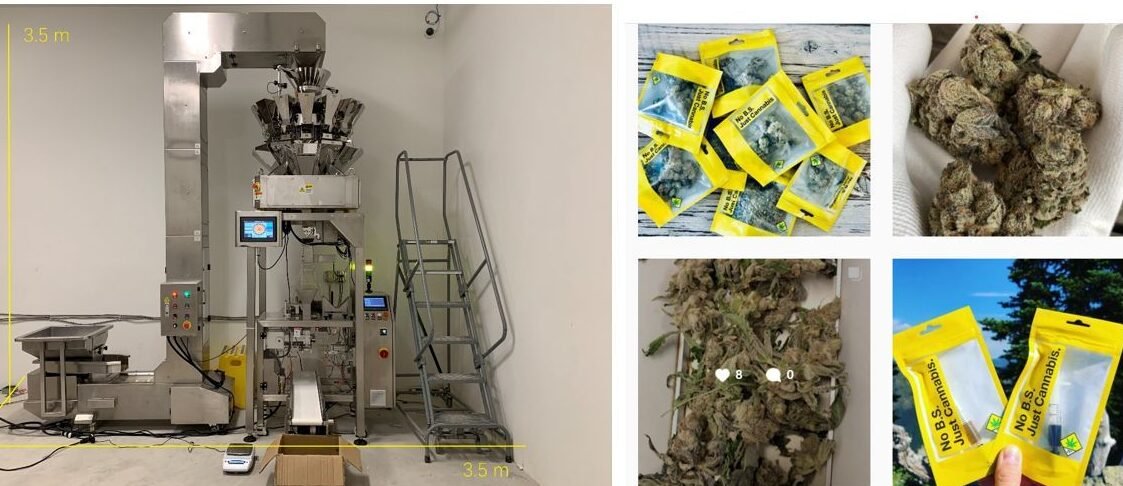 An Introduction to Packaging Machines for the Legal Cannabis Industry